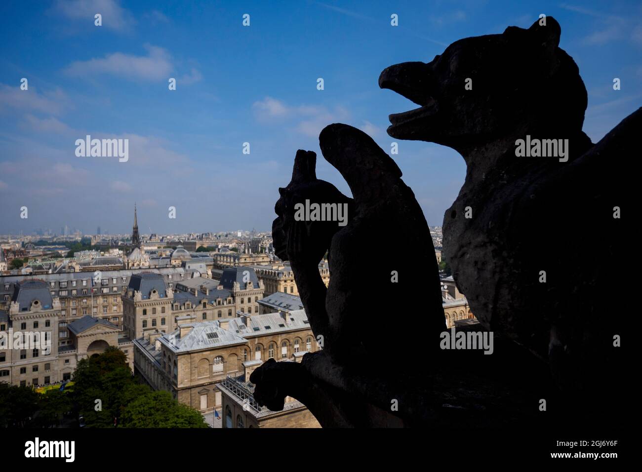 France, Paris, gargoyle on roof of Notre Dame cathedral Stock Photo - Alamy