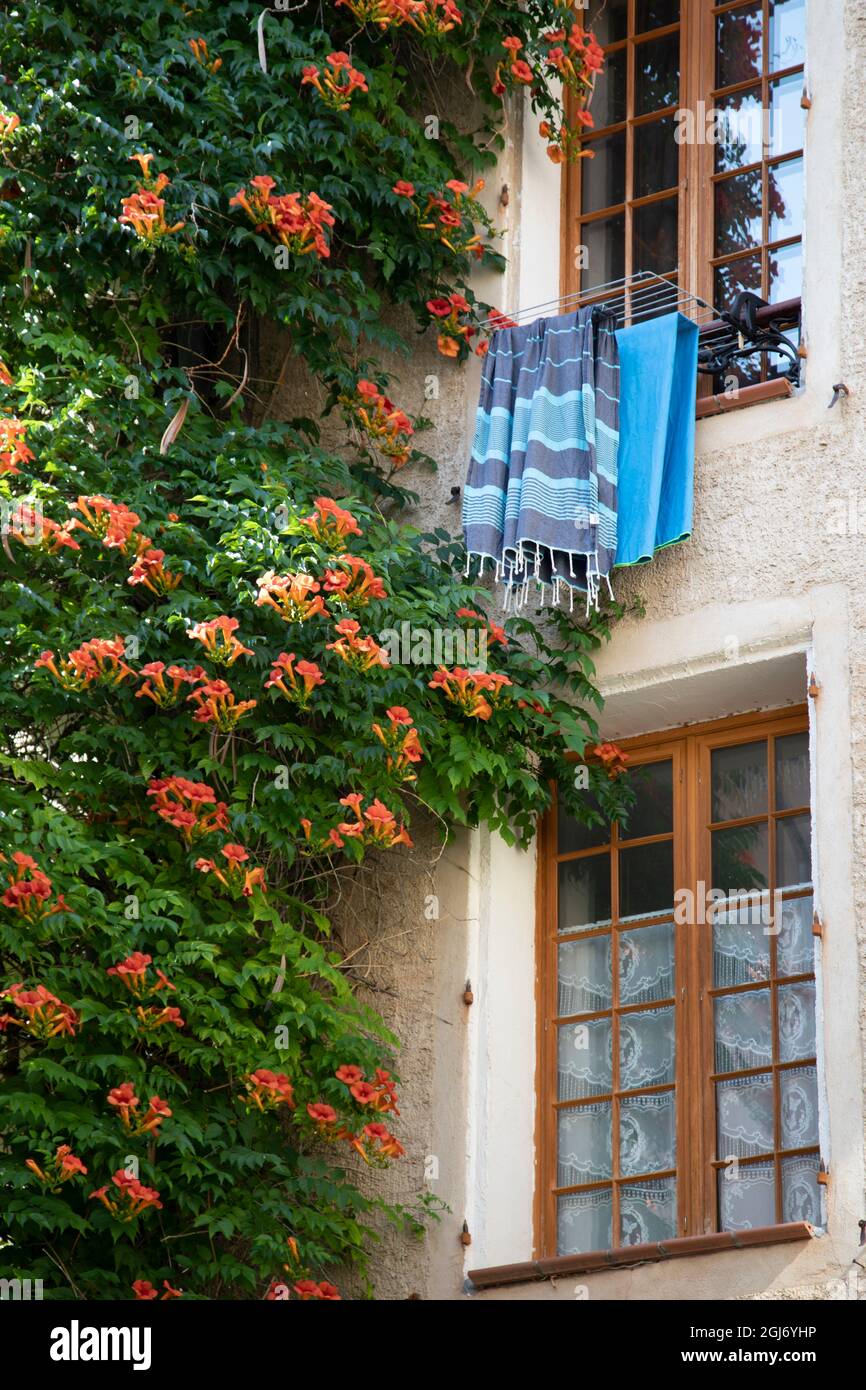 Colorful windows, Provence region of France Stock Photo - Alamy
