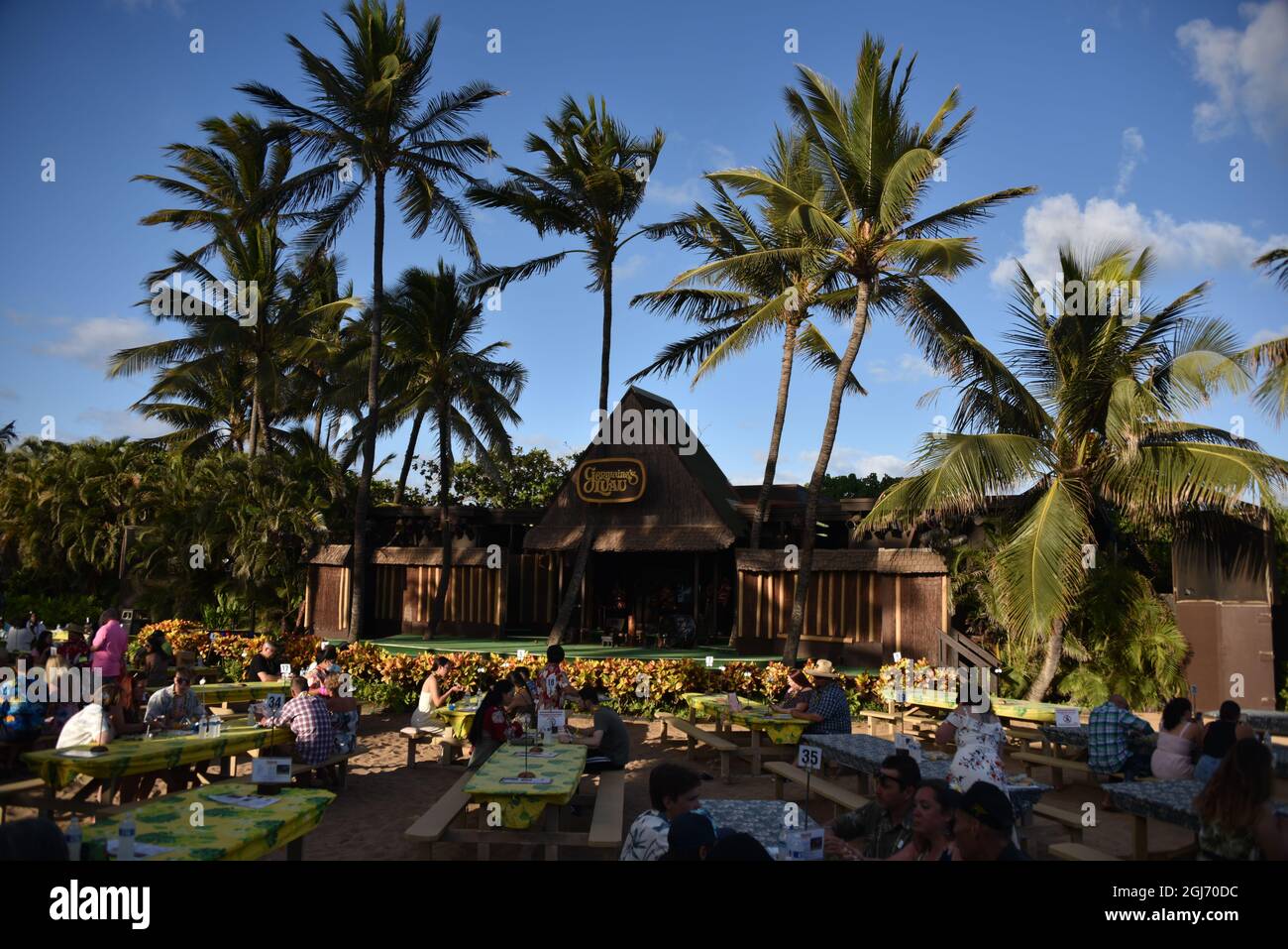 Luau pig hi-res stock photography and images - Alamy