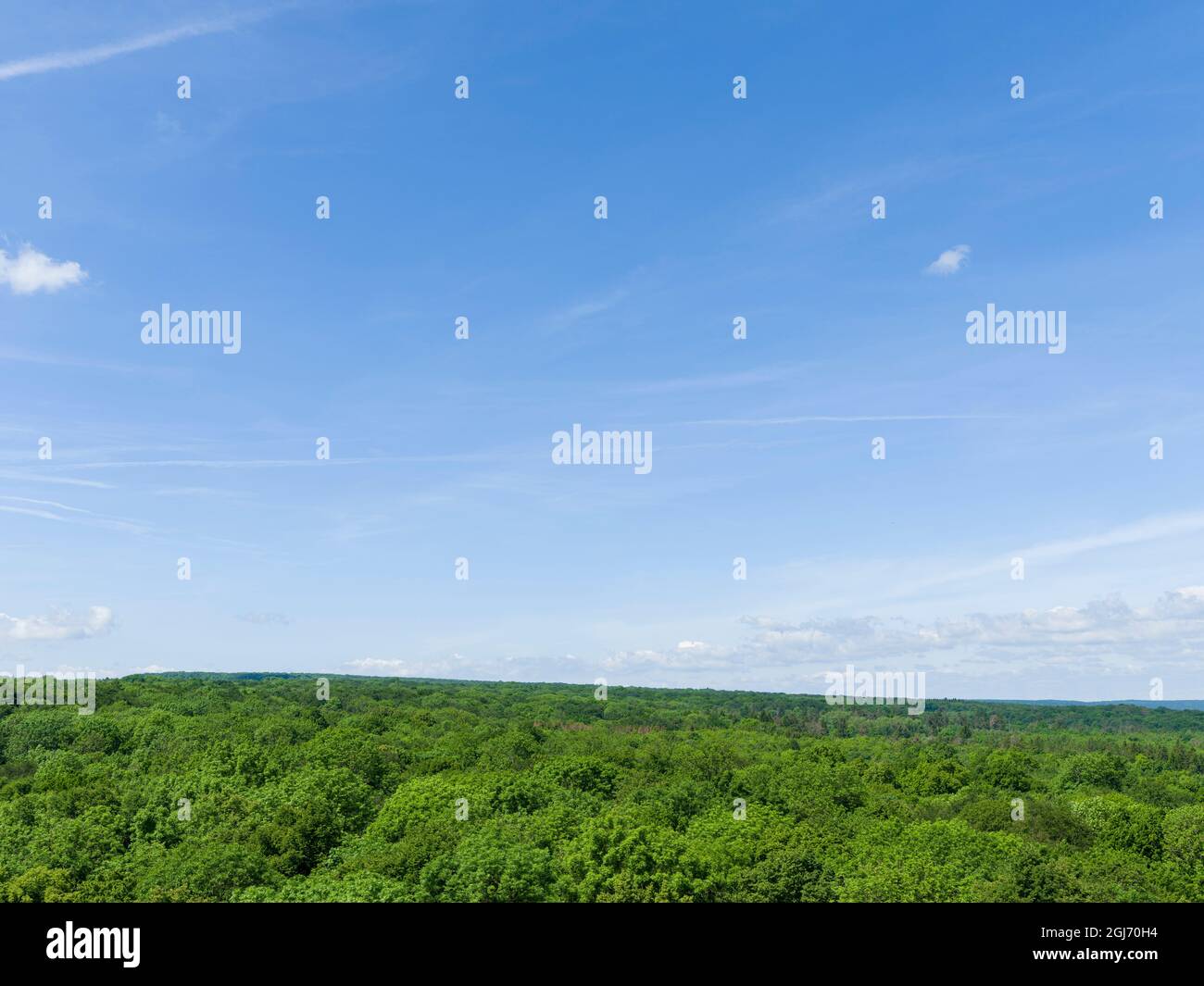 The canopy seen from the Canopy Walk, the Thuringian Forest Nature Park ...