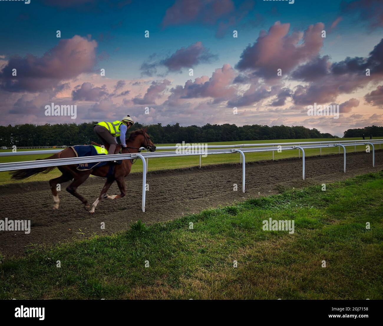 On the Gallops Stock Photo - Alamy