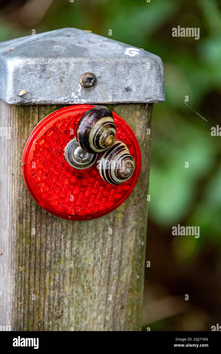Reflector detail hi-res stock photography and images - Alamy