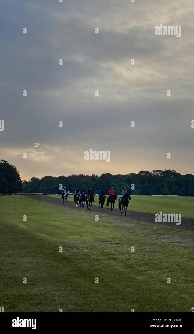 On the gallop hi-res stock photography and images - Alamy