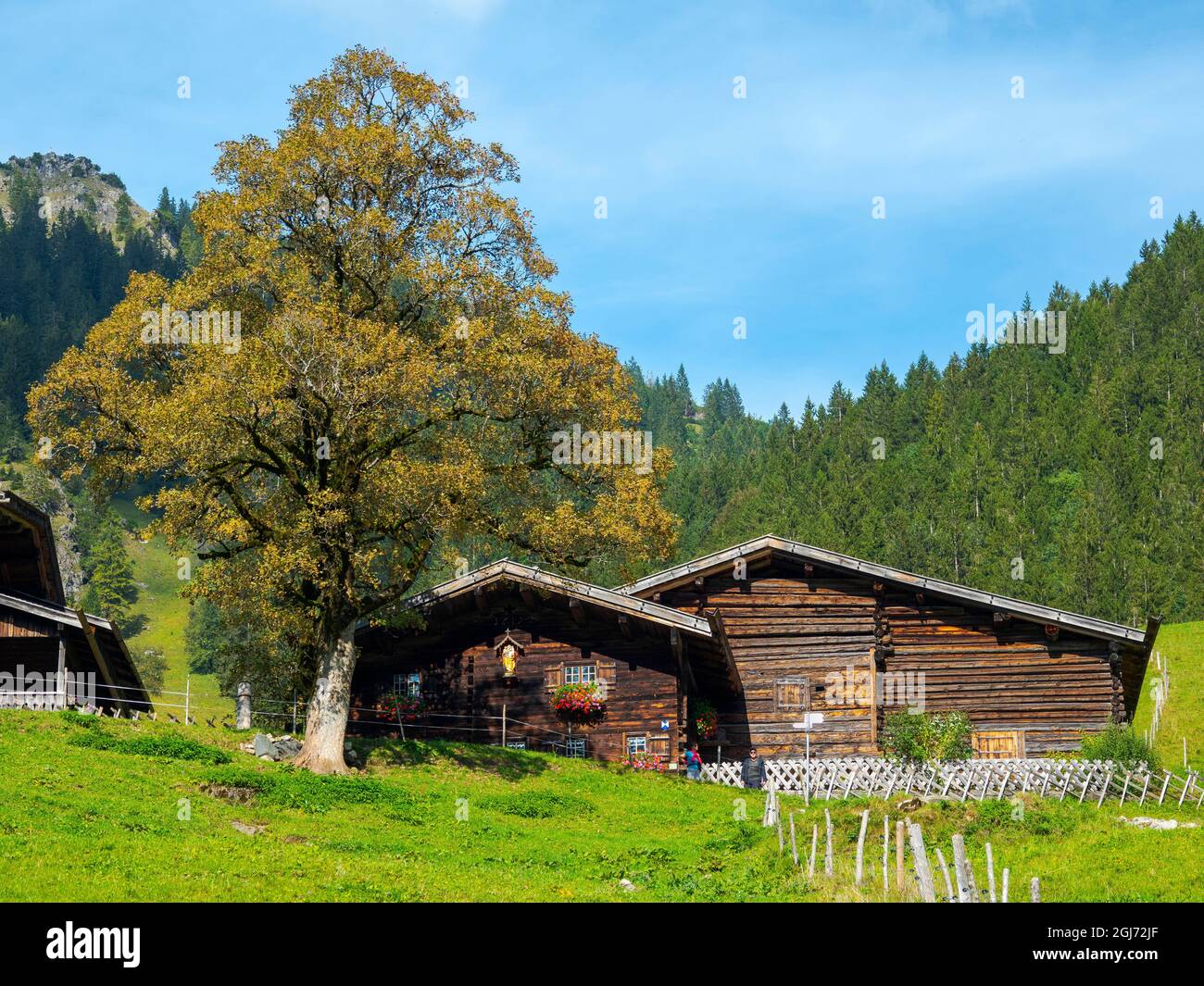 The historic alpine settlement Gerstruben in the Allgau near Oberstdorf ...