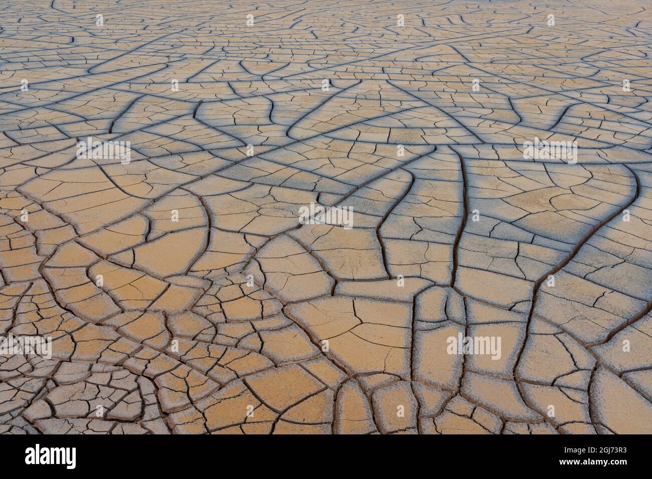 Iceland, Lake Myvatn District, Hverir Geothermal Area, mud flats ...