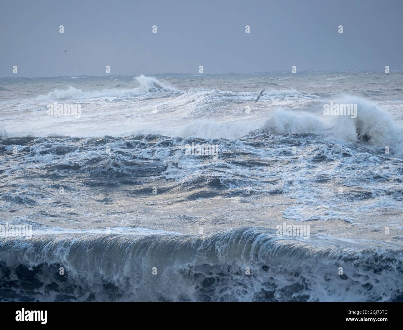 Coast near Vik y Myrdal during winter. Storm at beach Reynisfjara ...