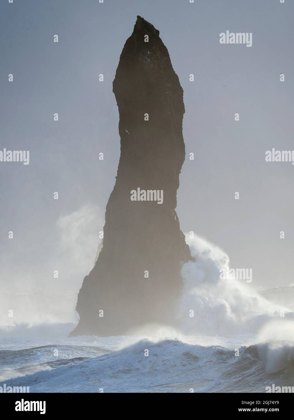 Coast near Vik i Myrdal during winter. The Reynisdrangar sea stacks ...