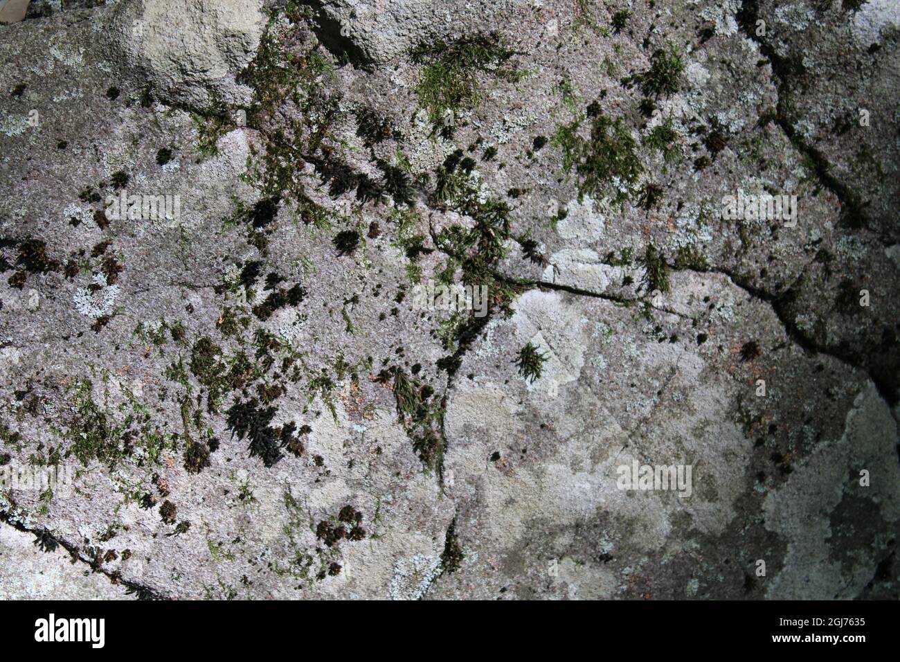 White spots on rock hi-res stock photography and images - Alamy