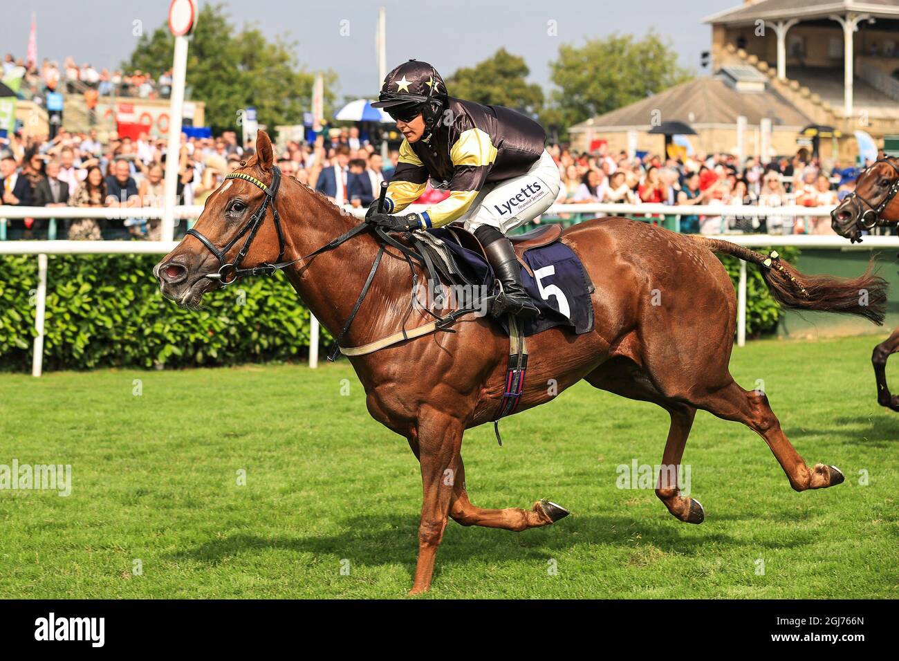 Ginger race hi-res stock photography and images - Alamy