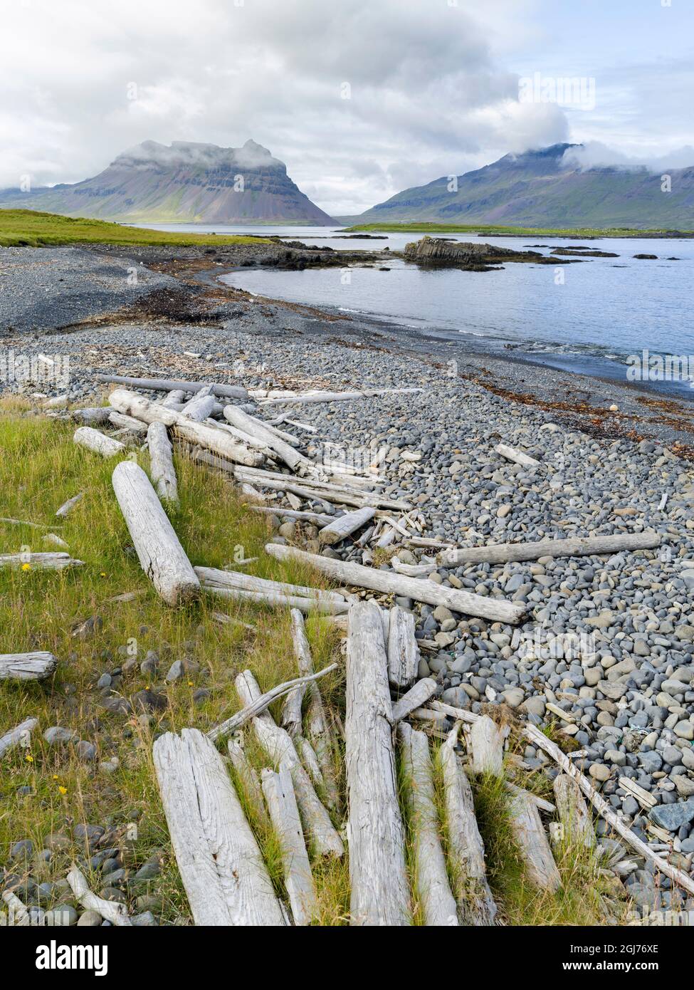 Landscape at bay Trekyllisvik in Arneshreppur. Driftwood from Sibira ...