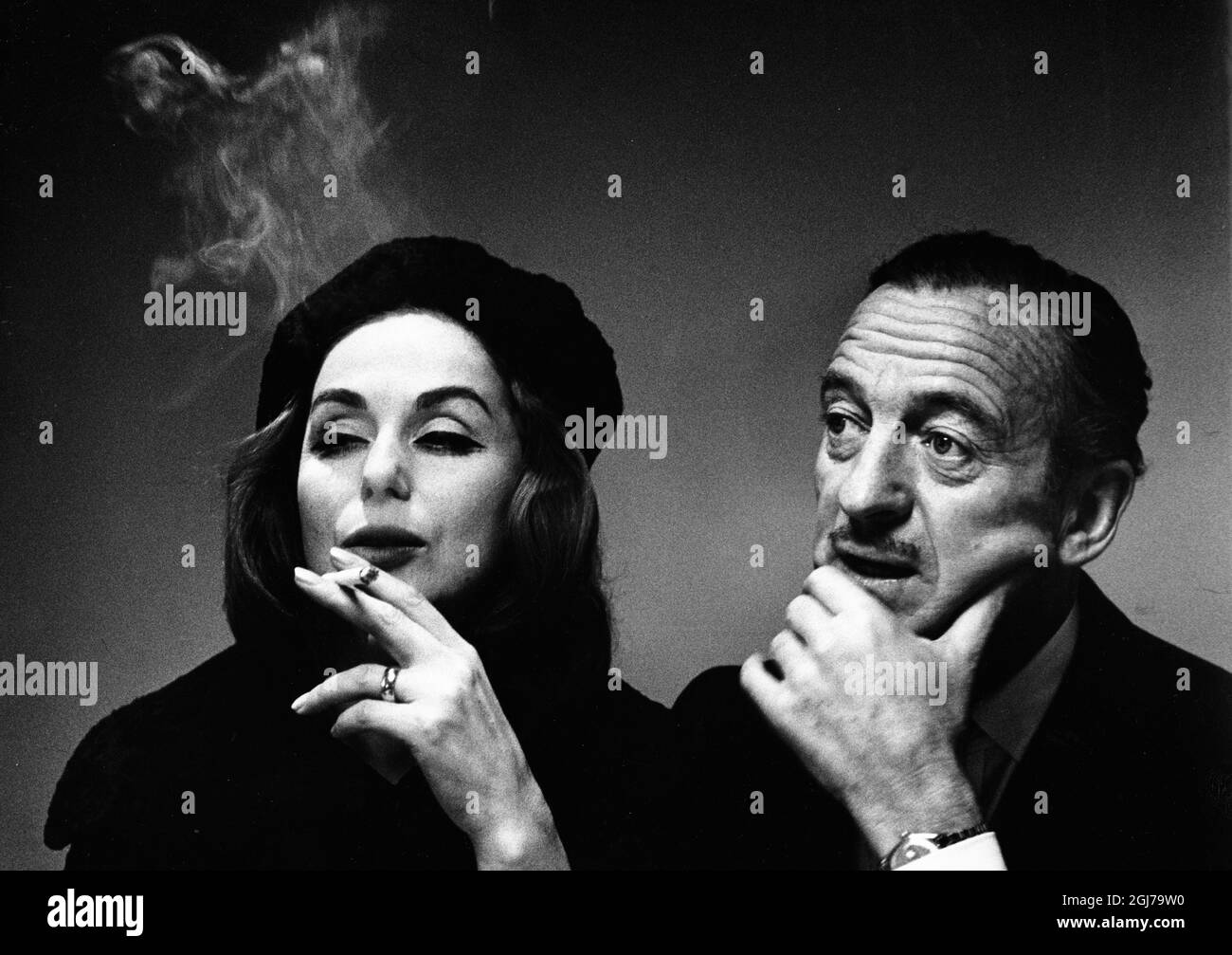 Film actor david niven wife Black and White Stock Photos & Images - Alamy