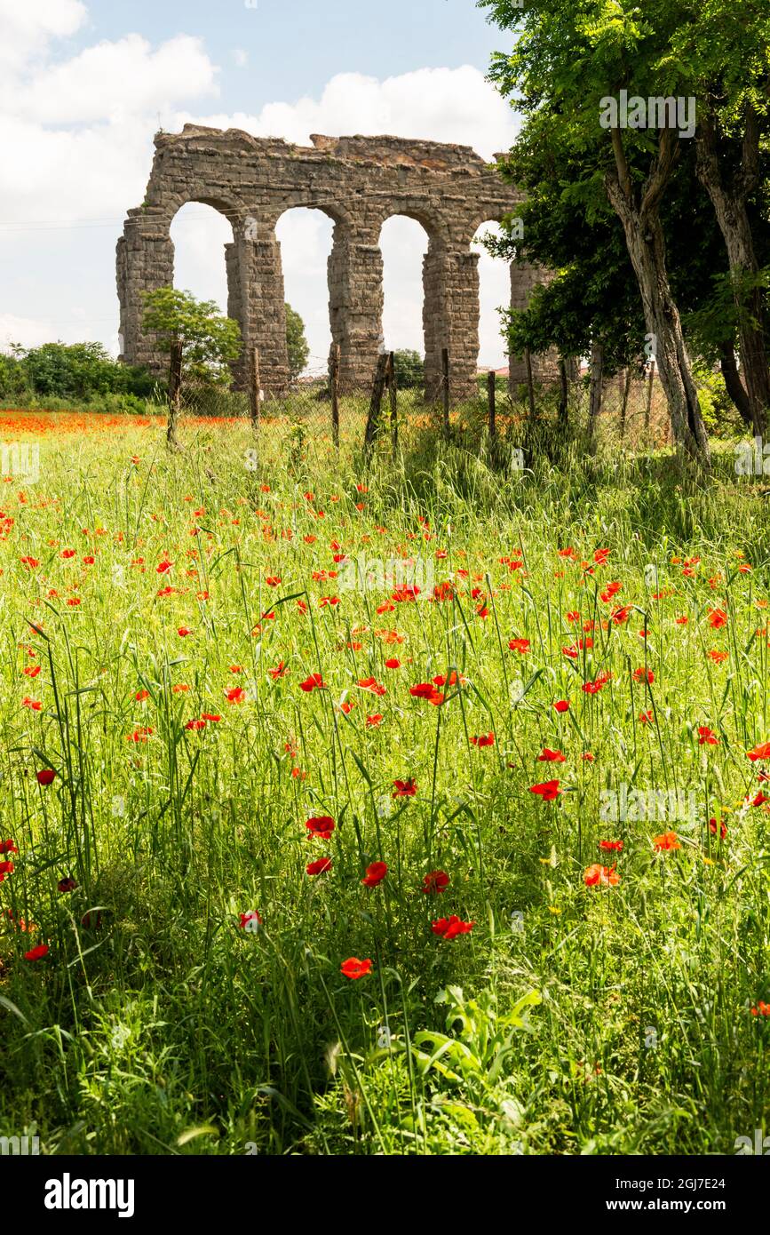 Italy, Rome. Parc of the Aqueducts (Parco degli Acquedotti), Acqua ...