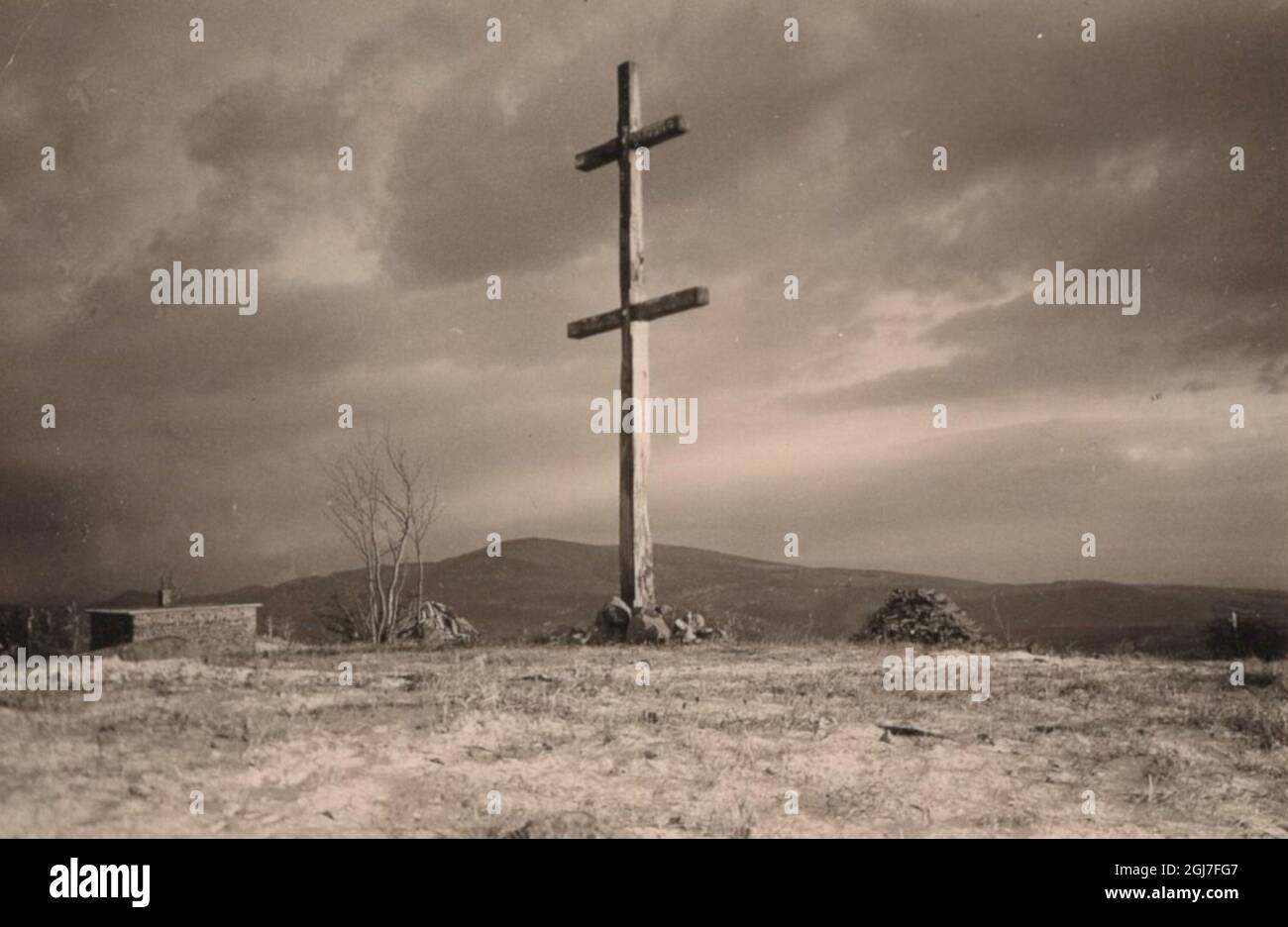 Rare symbol photo hi-res stock photography and images - Alamy