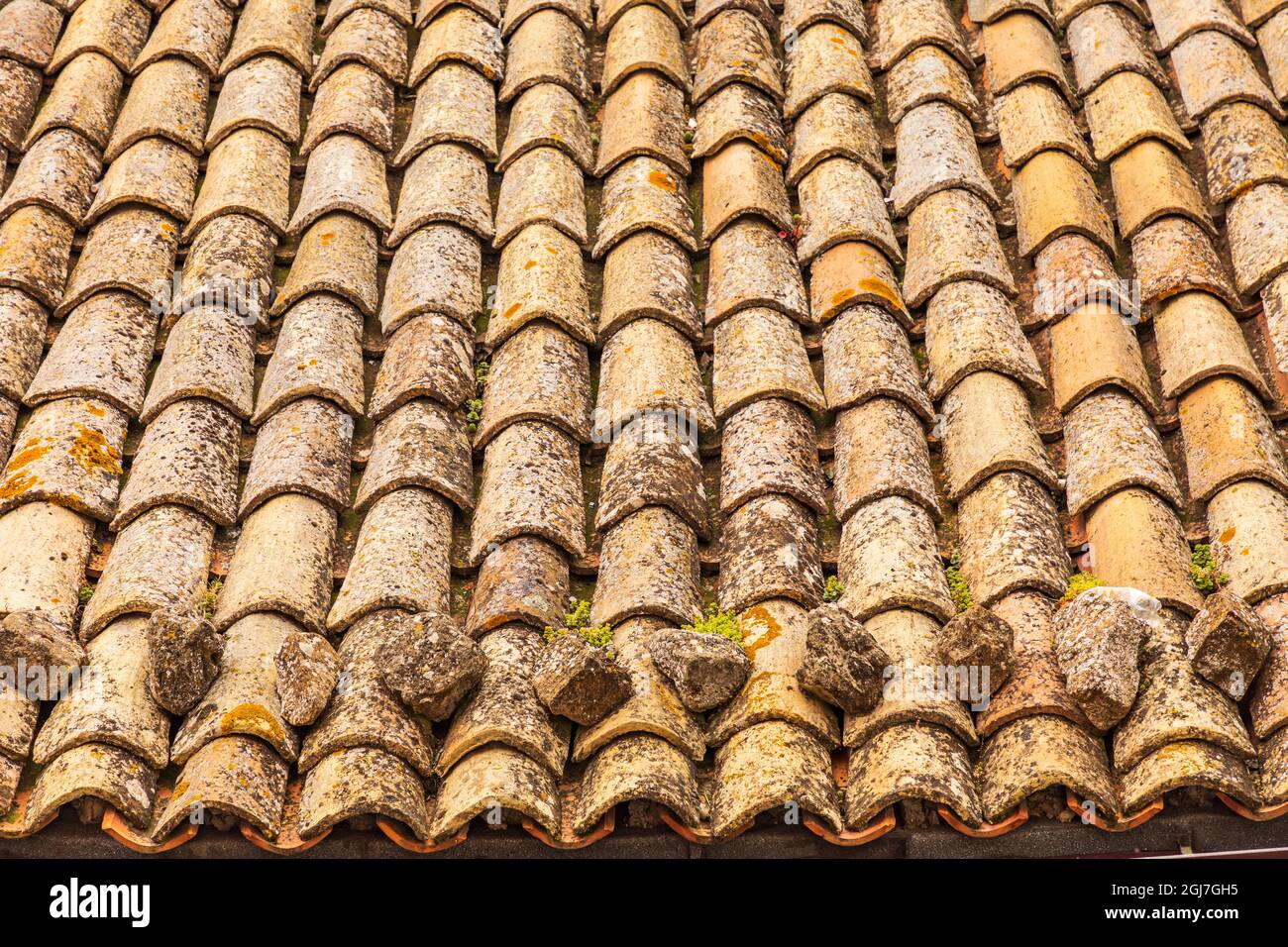 Italy, Sicily, Enna Province, Centuripe. Terra cotta tiled roof in the ...