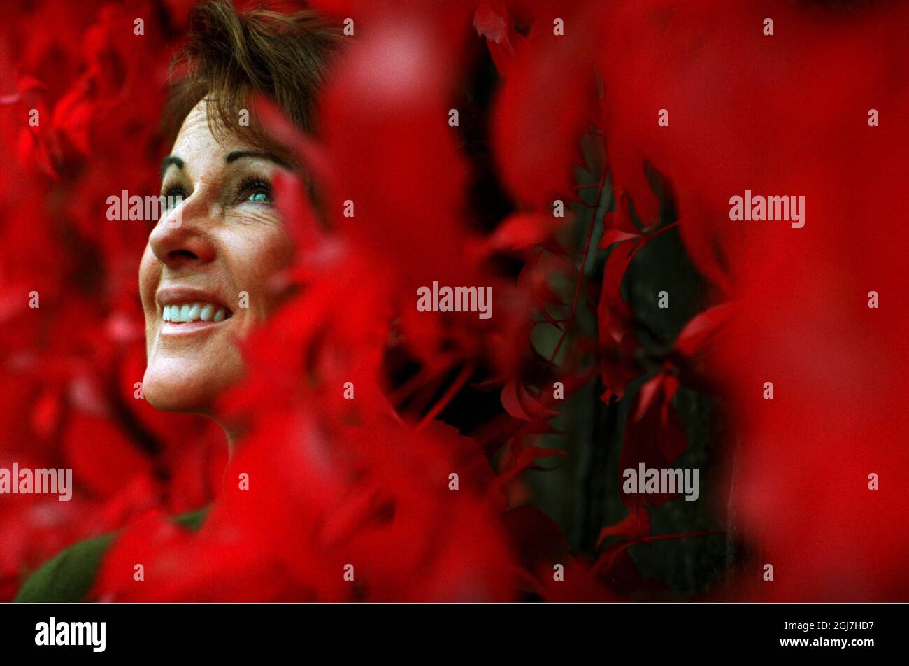 Anni frid reuss hi-res stock photography and images - Alamy