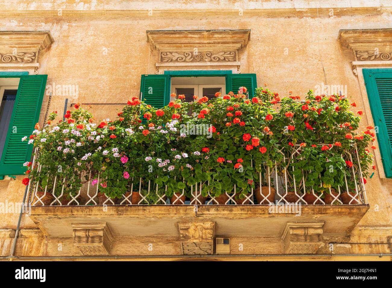Geraniums in pots hi-res stock photography and images - Alamy