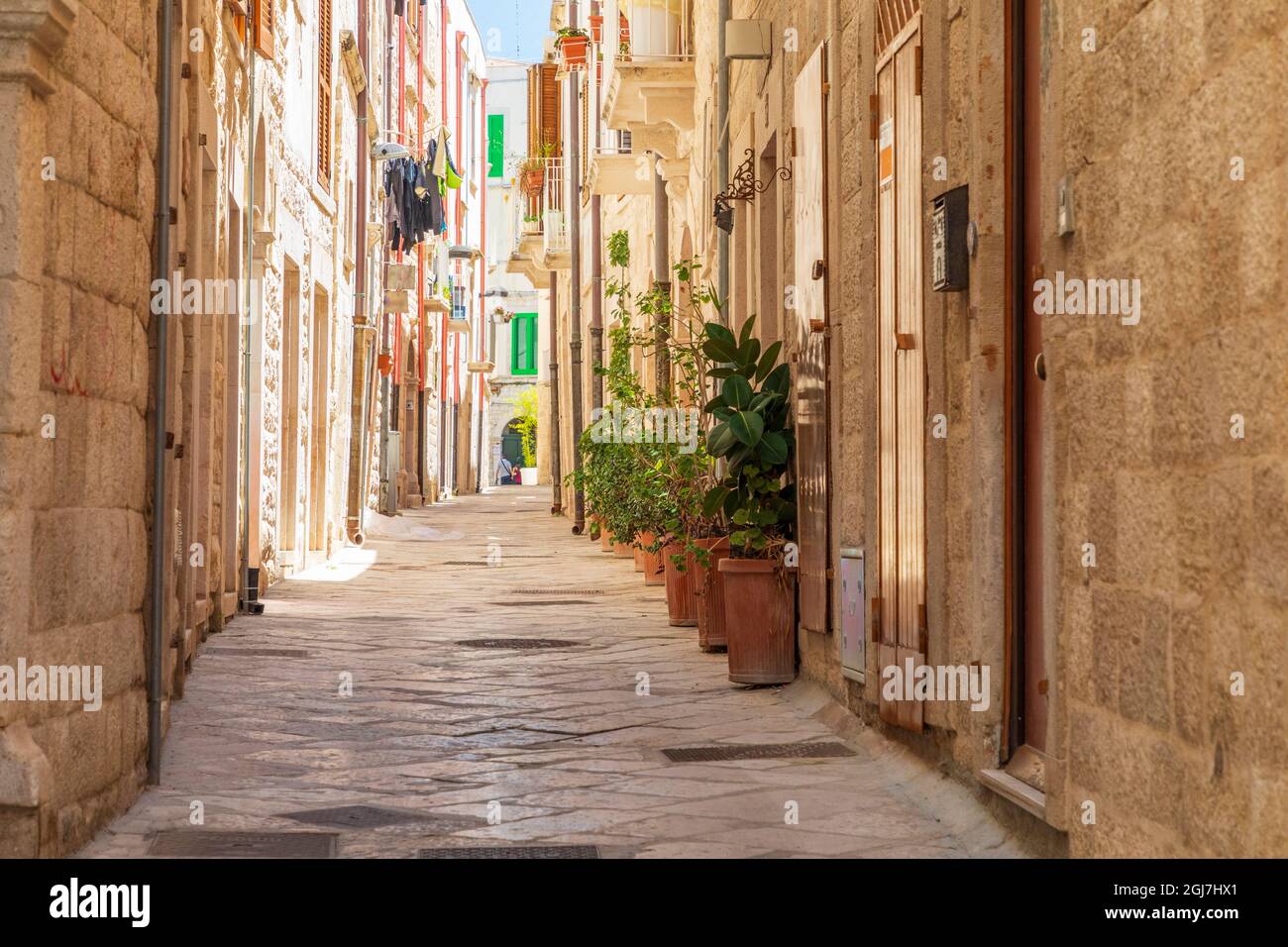 Italy, Apulia, Metropolitan City of Bari, Molfetta. Small cobblestone ...