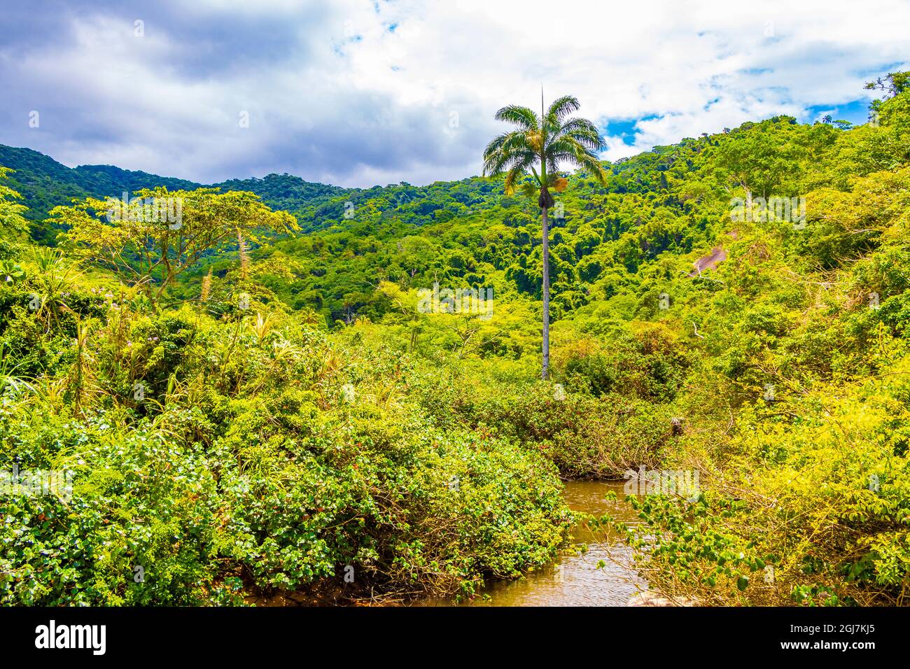 Nature at the big tropical island Ilha Grande Praia de Palmas beach in ...