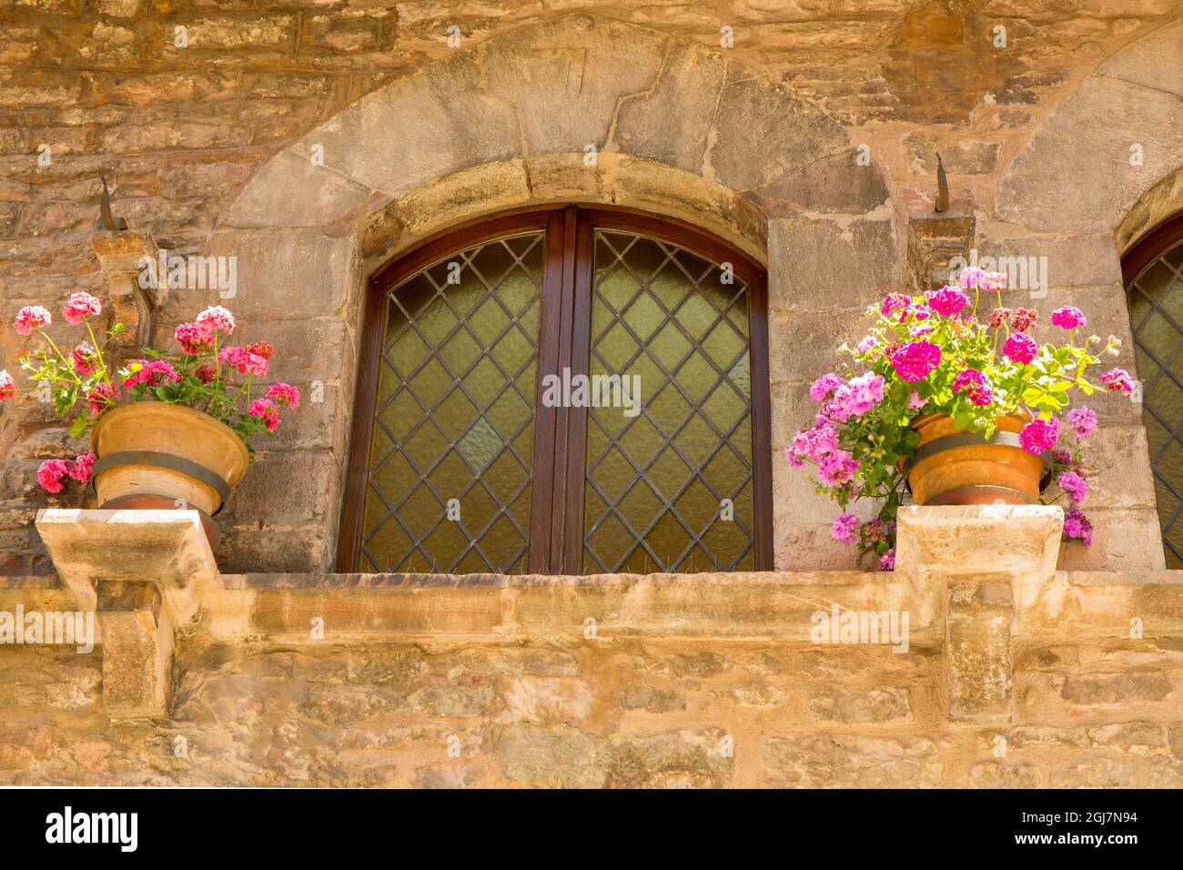 Assisi, Umbria region, Italy. Pink geraniums in flower pots decorating ...