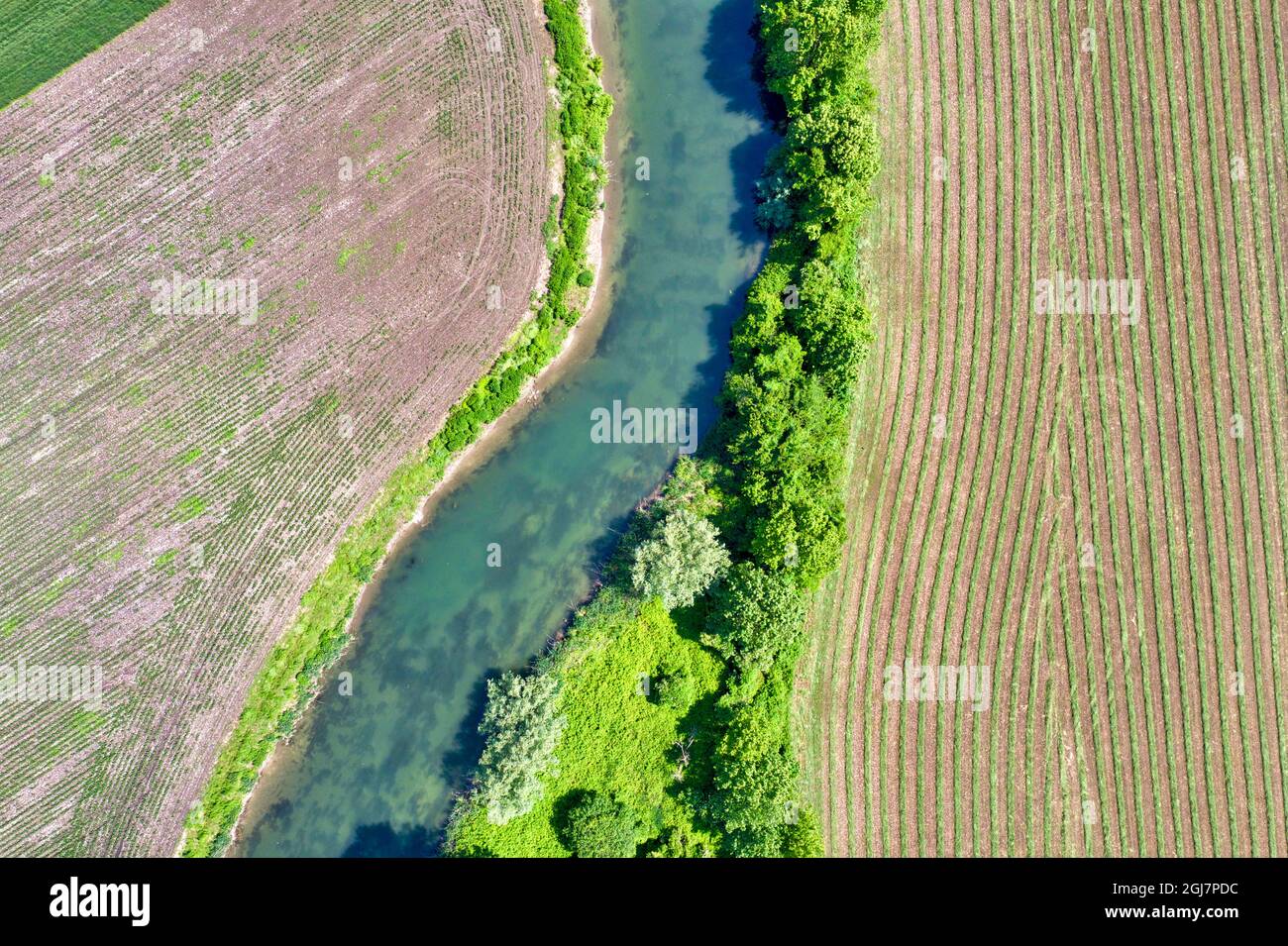 Italy, Mantua, river Mincio Natural Park, fields and Mincio river Stock ...