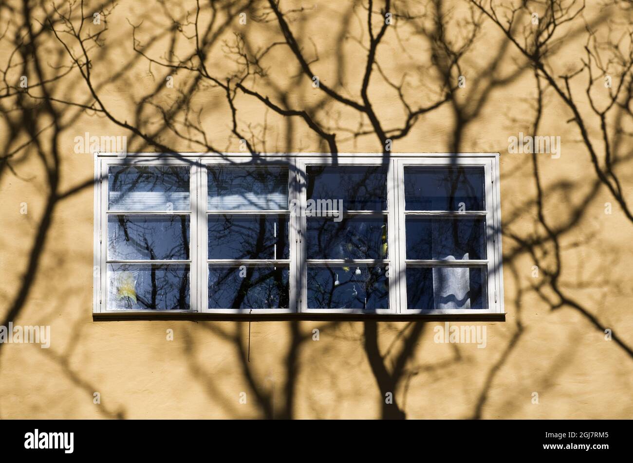 Flexipics hi-res stock photography and images - Alamy