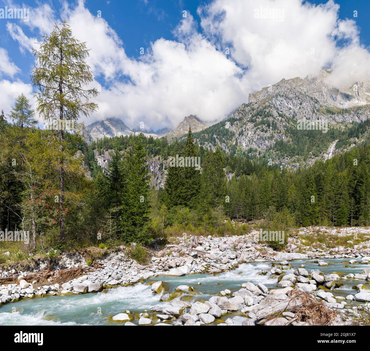 River Sarca. Val di Genova in the Parco Naturale Adamello, Brenta ...