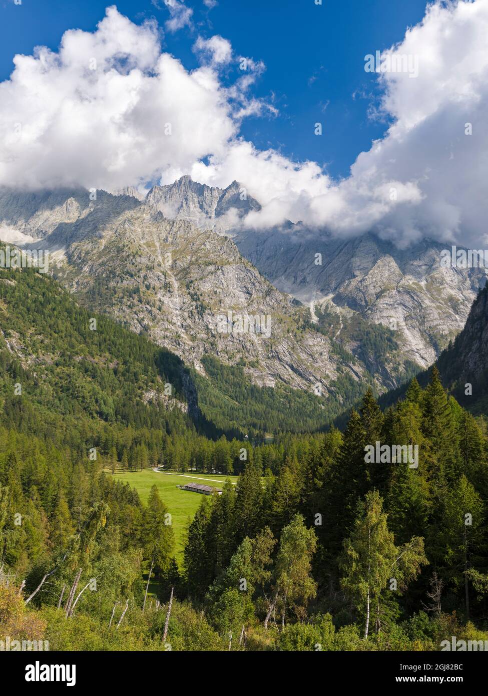 View towards Presanella mountain range. Val di Genova in the Parco ...