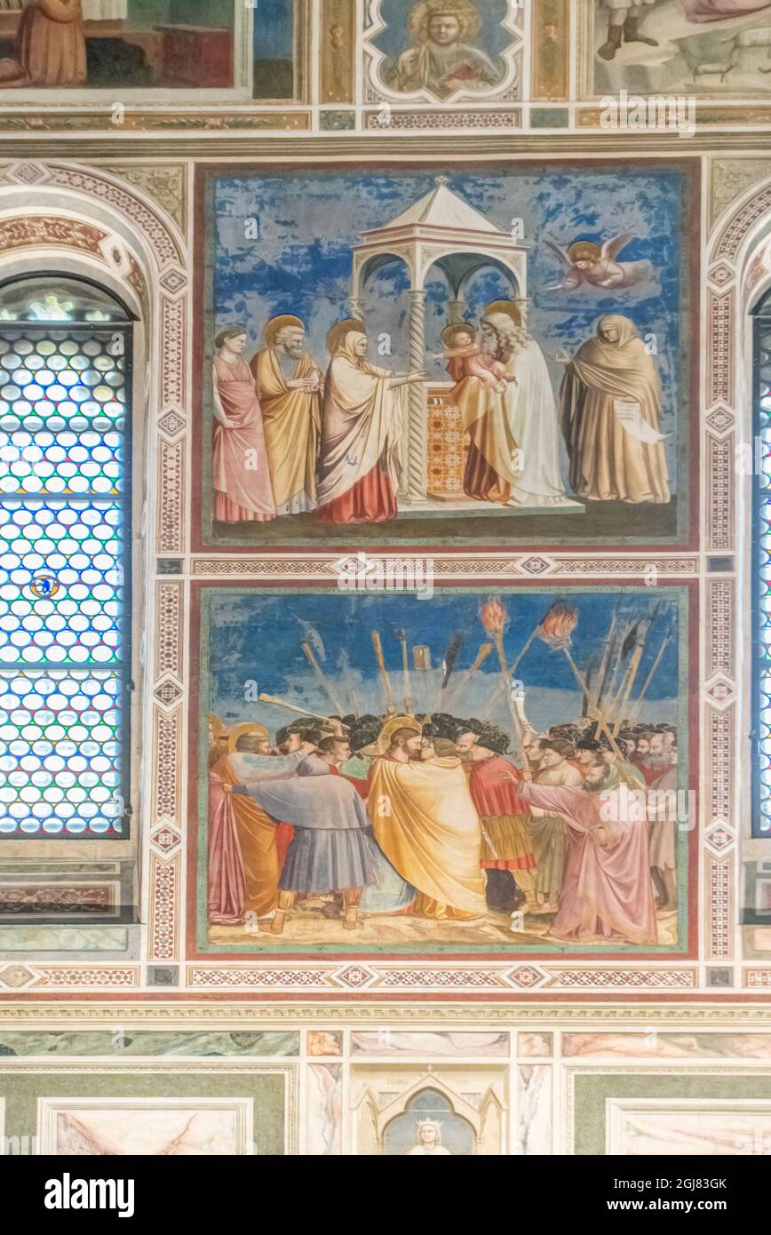 Italy, Padua, Scrovegni Chapel Ceiling with frescoes painted by Giotto ...