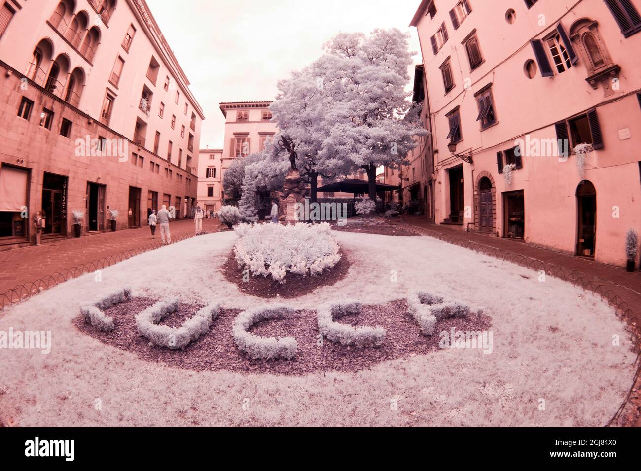 Italy, Lucca. Infrared image of Lucca city name in hedge Stock Photo ...
