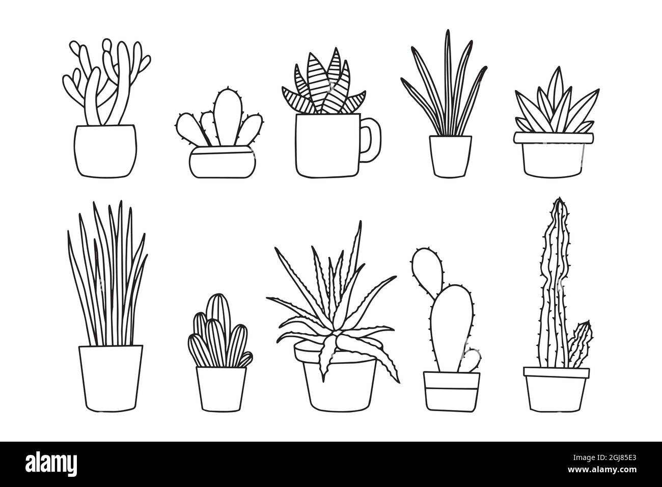 Pot plant Stock Vector Images - Alamy