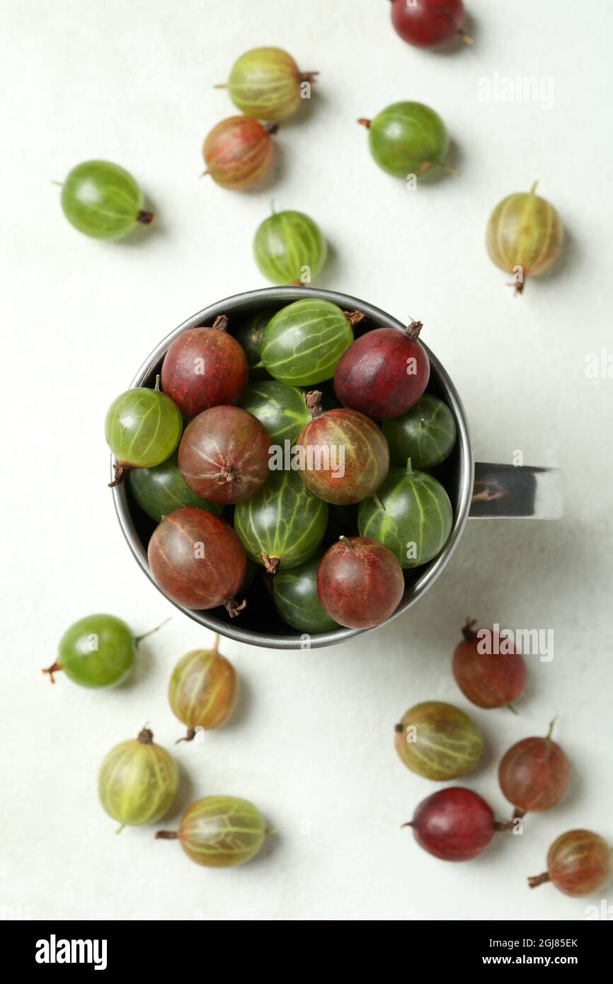 Gooseberry garden container hi-res stock photography and images - Alamy