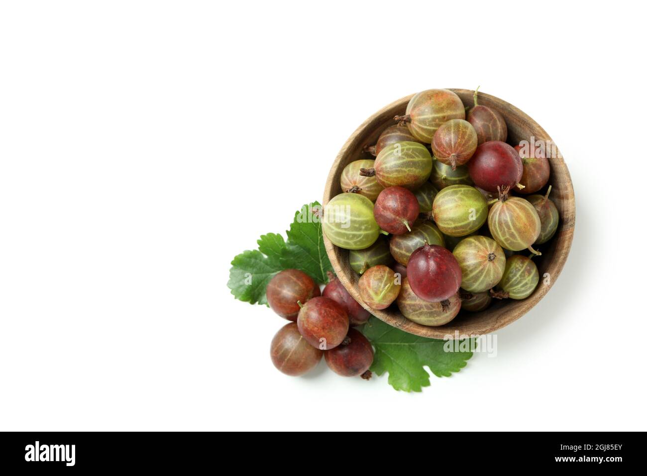 Gooseberry garden container hi-res stock photography and images - Alamy
