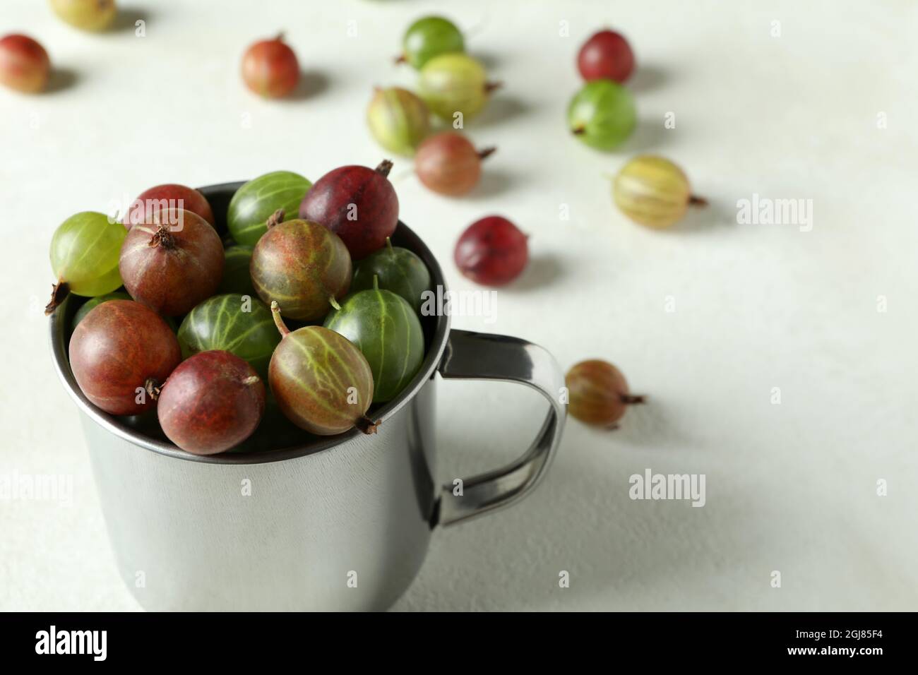 Gooseberry garden container hi-res stock photography and images - Alamy
