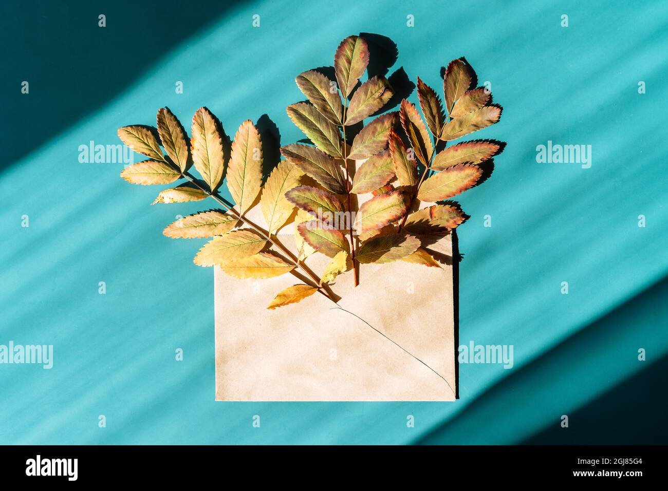 Letter sticking out of envelope hi-res stock photography and images - Alamy