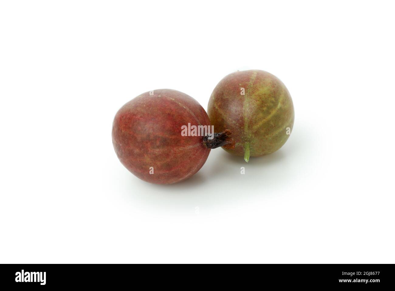 Ripe red gooseberry isolated on white background Stock Photo - Alamy