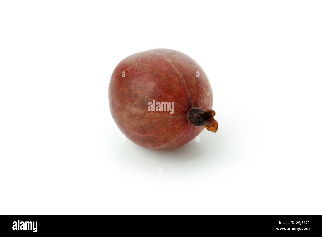 Ripe red gooseberry isolated on white background Stock Photo - Alamy