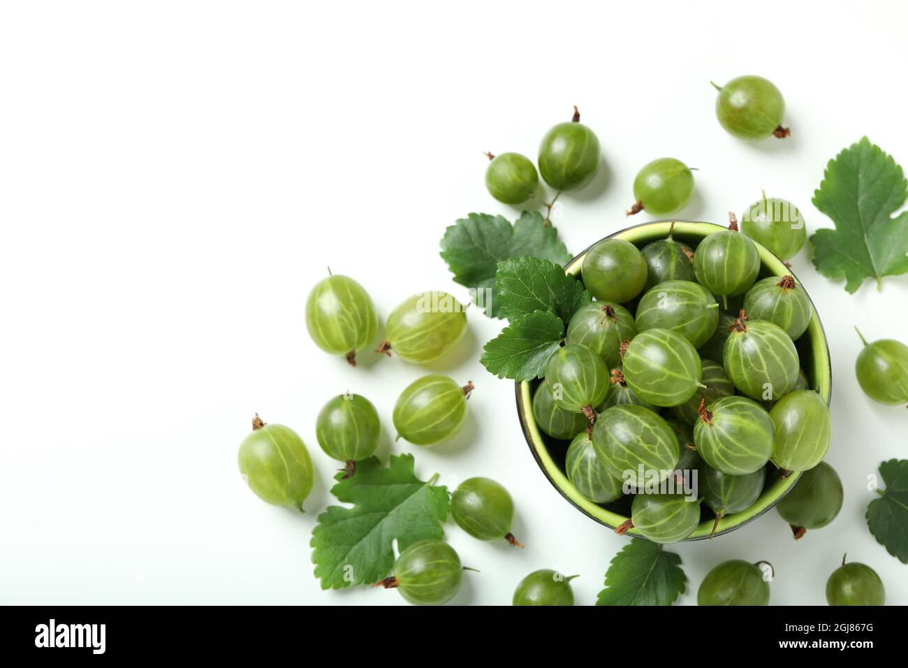 Gooseberry garden container hi-res stock photography and images - Alamy