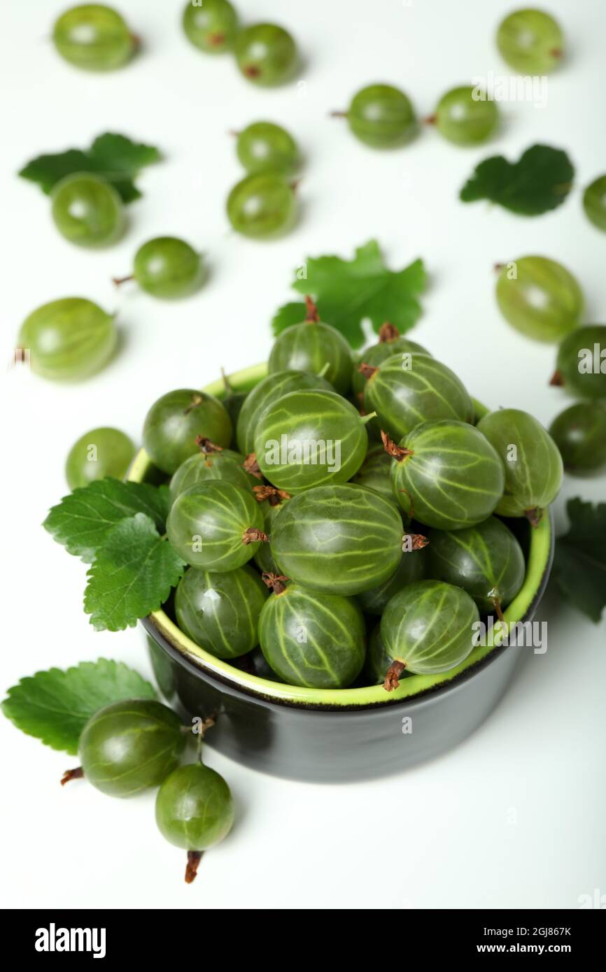 Gooseberry garden container hi-res stock photography and images - Alamy