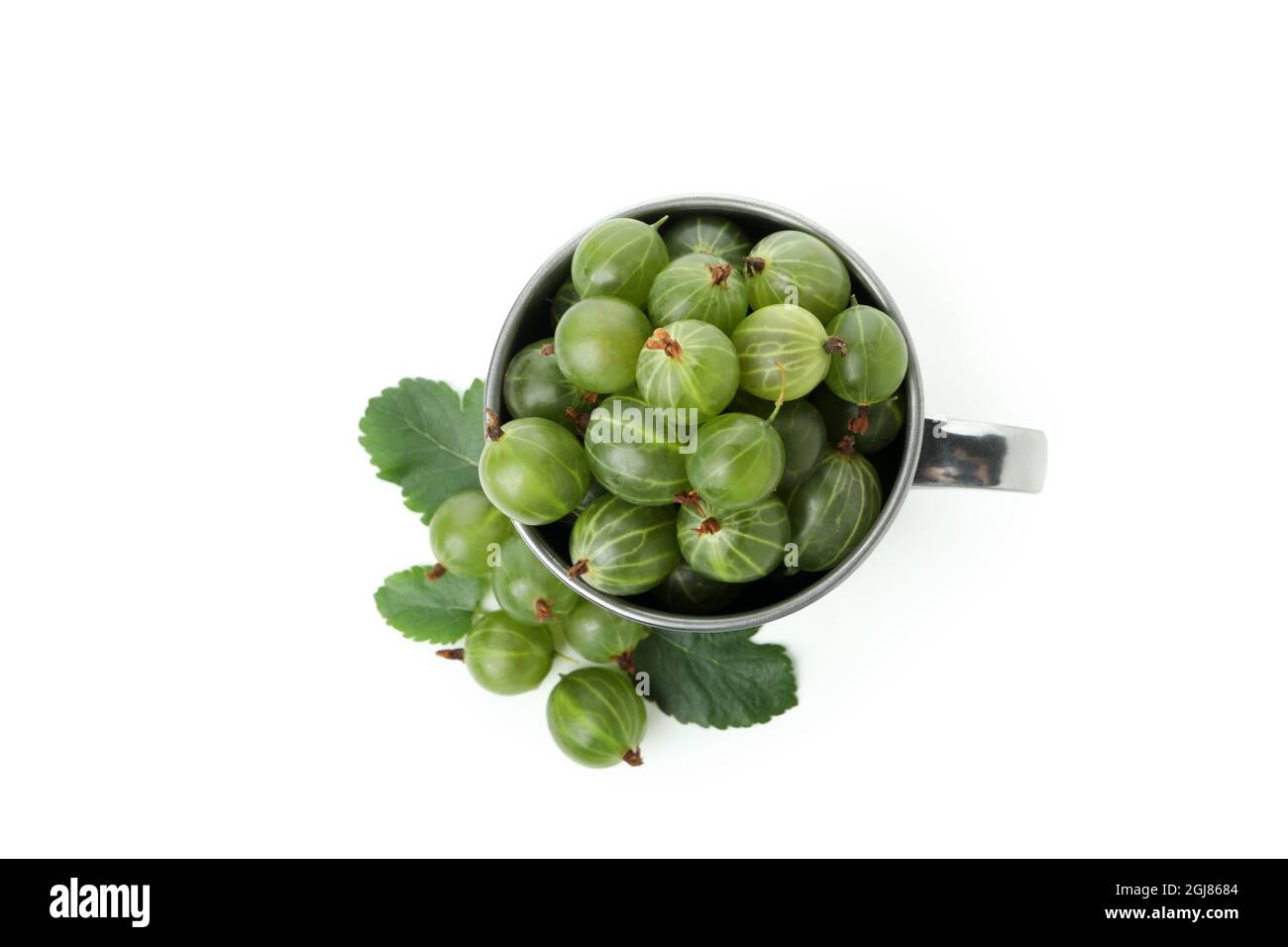 Gooseberry garden container Cut Out Stock Images & Pictures - Alamy