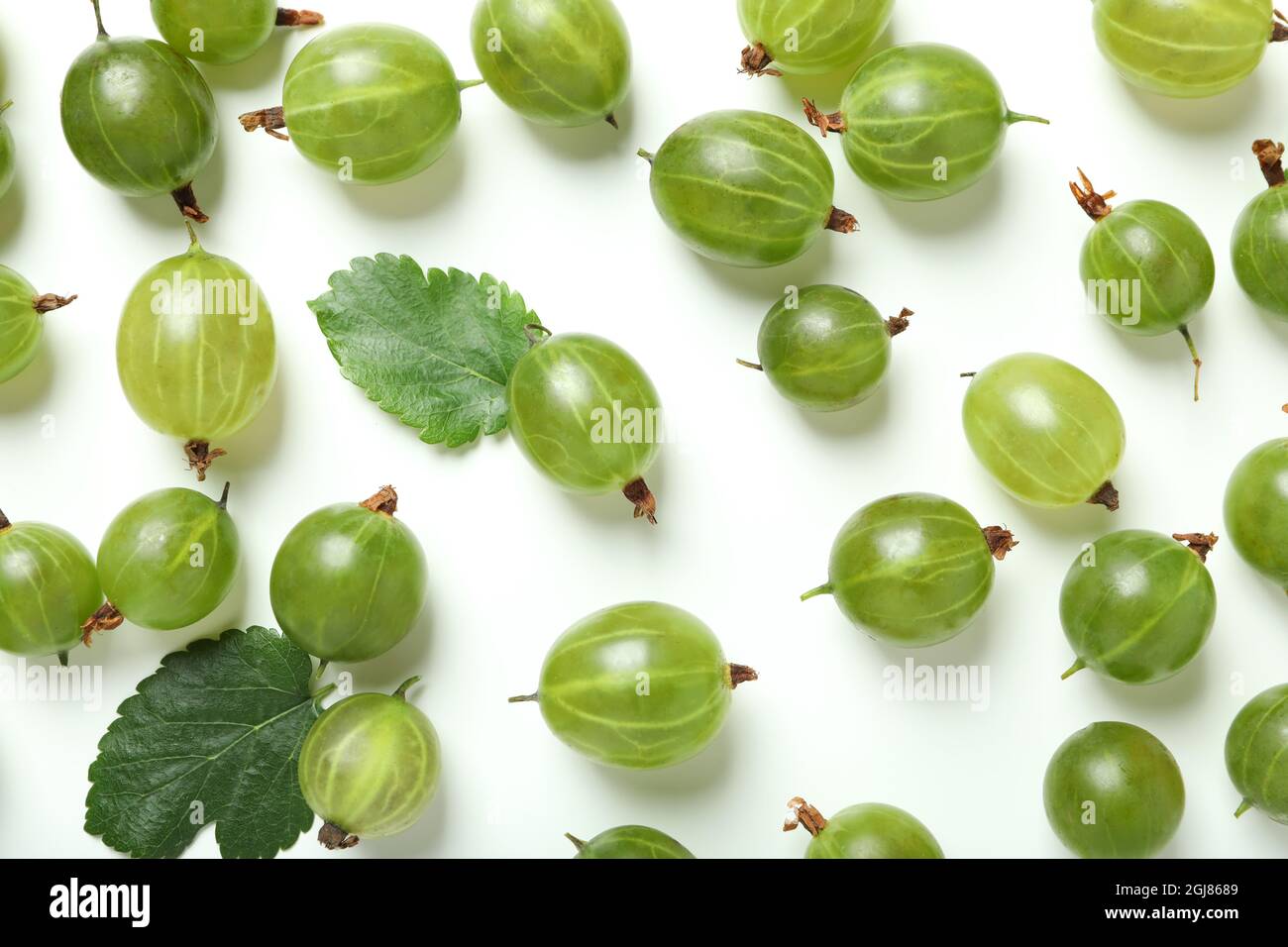 Gooseberry garden container hi-res stock photography and images - Alamy