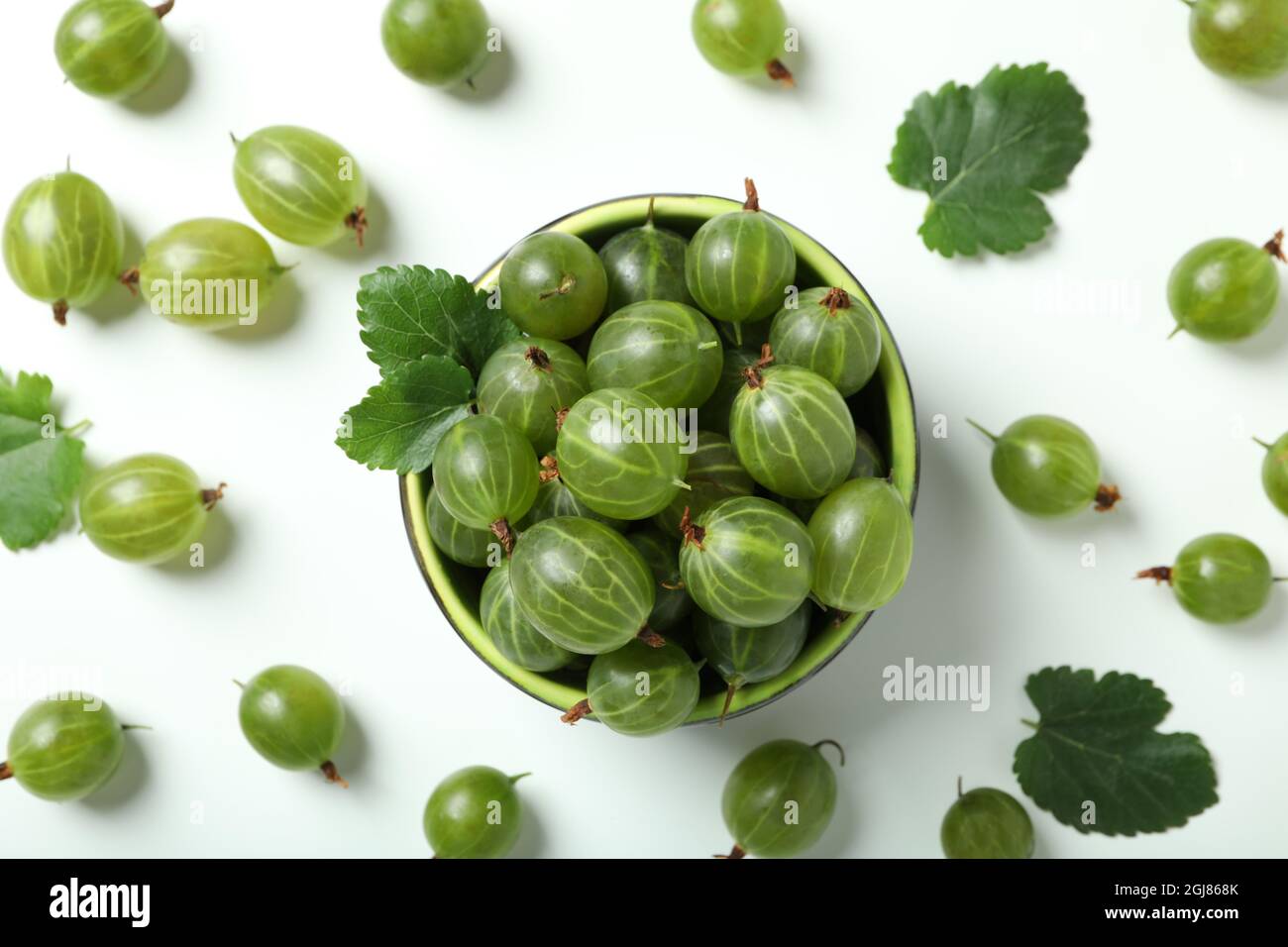 Gooseberry garden container hi-res stock photography and images - Alamy