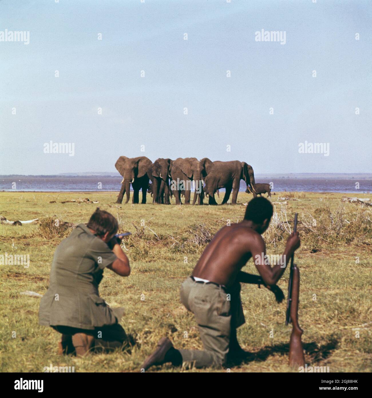 1960s hunting hi-res stock photography and images - Alamy