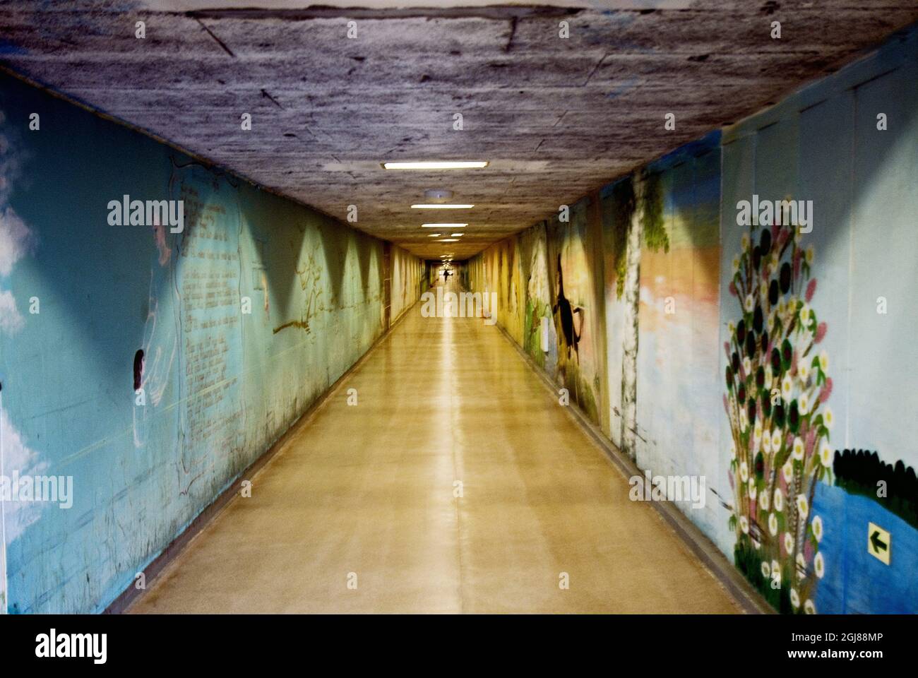 Swedish Prison System