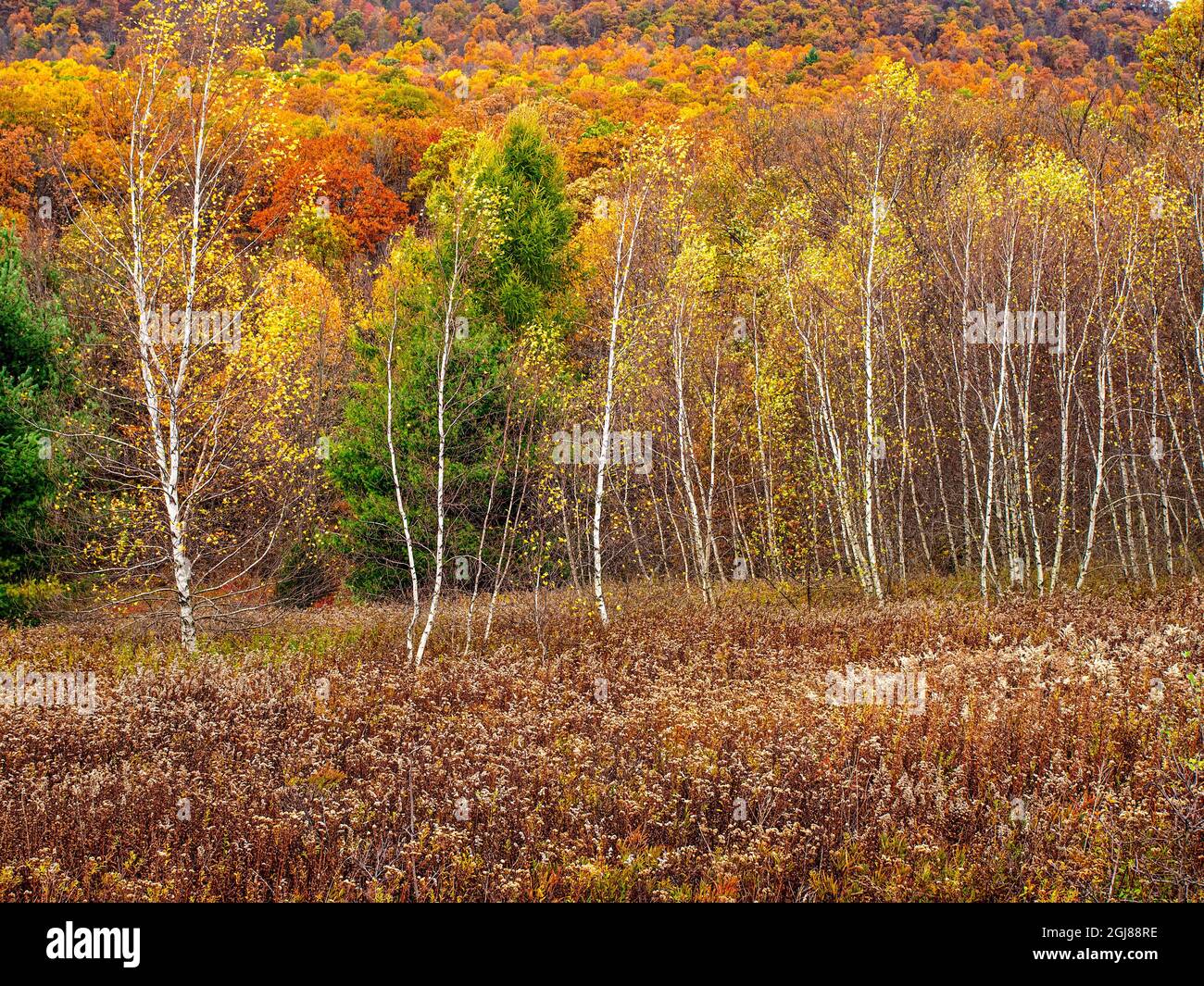 Pennsylvania landscape hi-res stock photography and images - Alamy