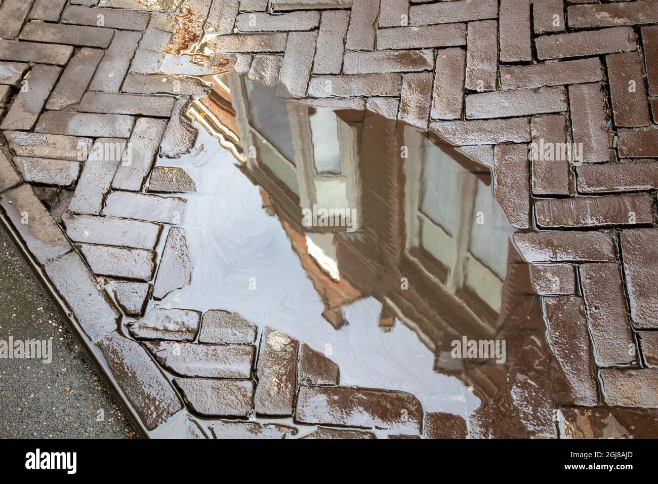 Europe, Netherlands, The Hague. Buildings reflected in sidewalk rain ...