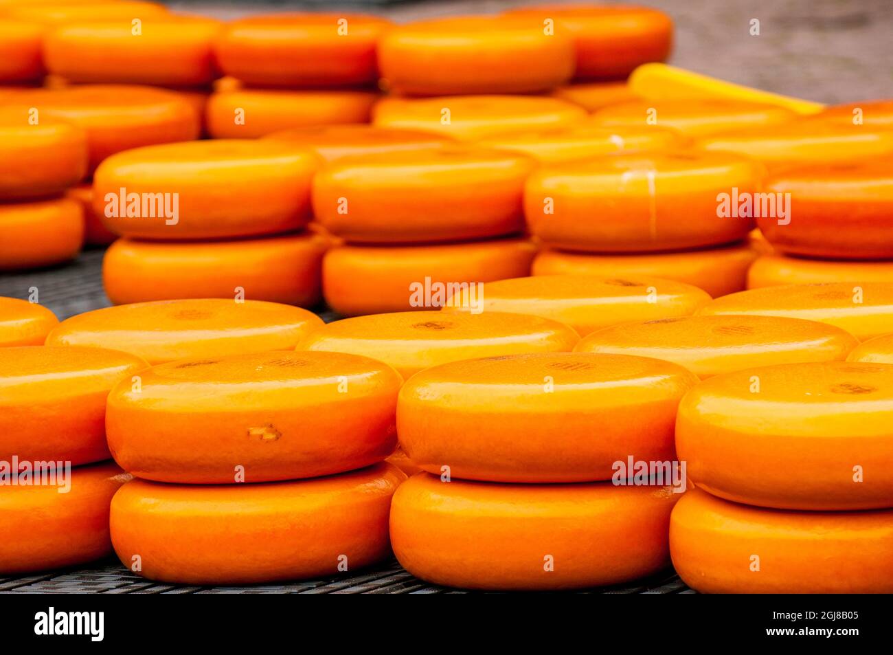 Gouda cheese wheels hi-res stock photography and images - Alamy