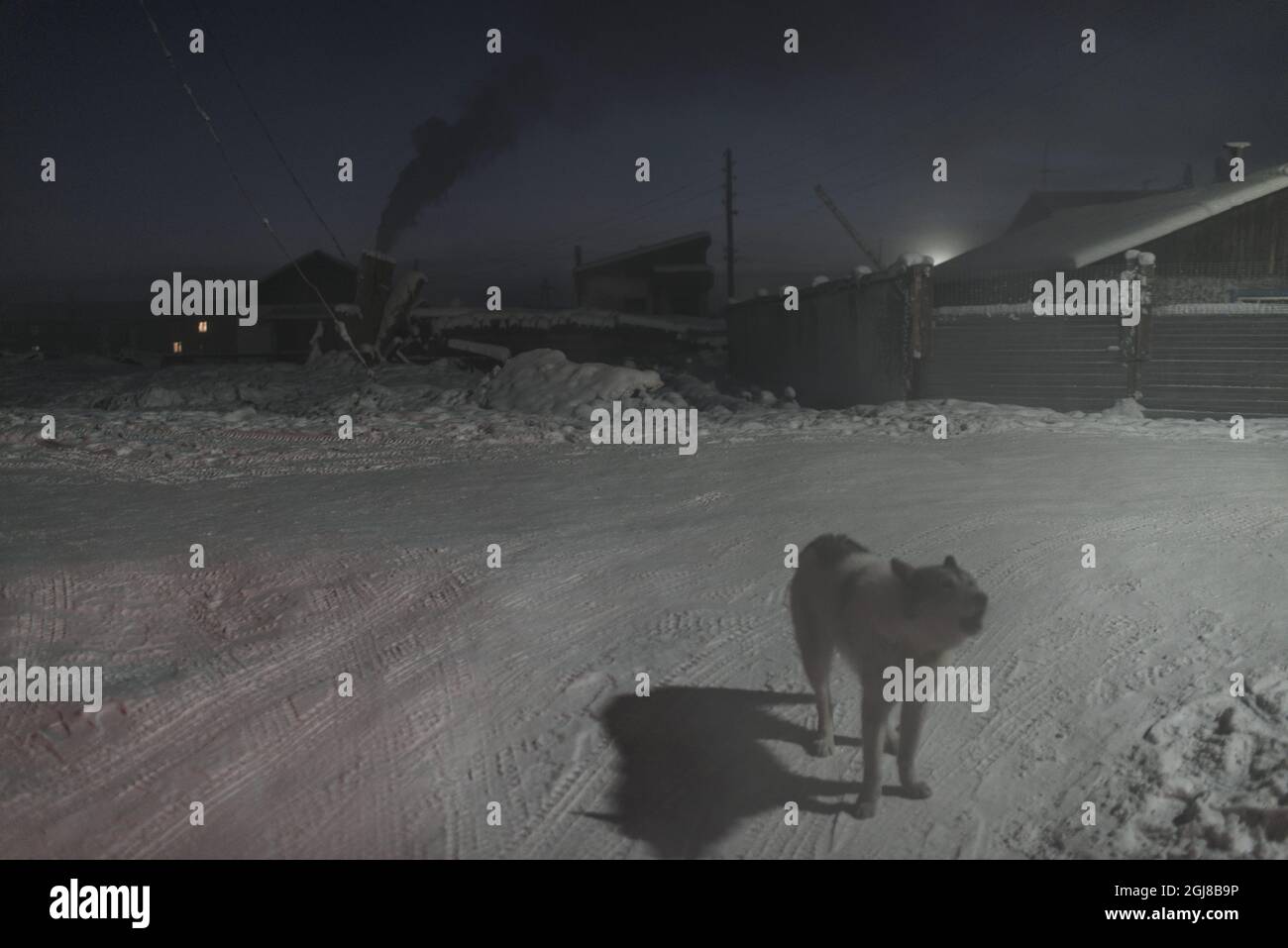 YAKUTSK /OYMYAKON 20140123 A night view from a street in Oymyakon ...