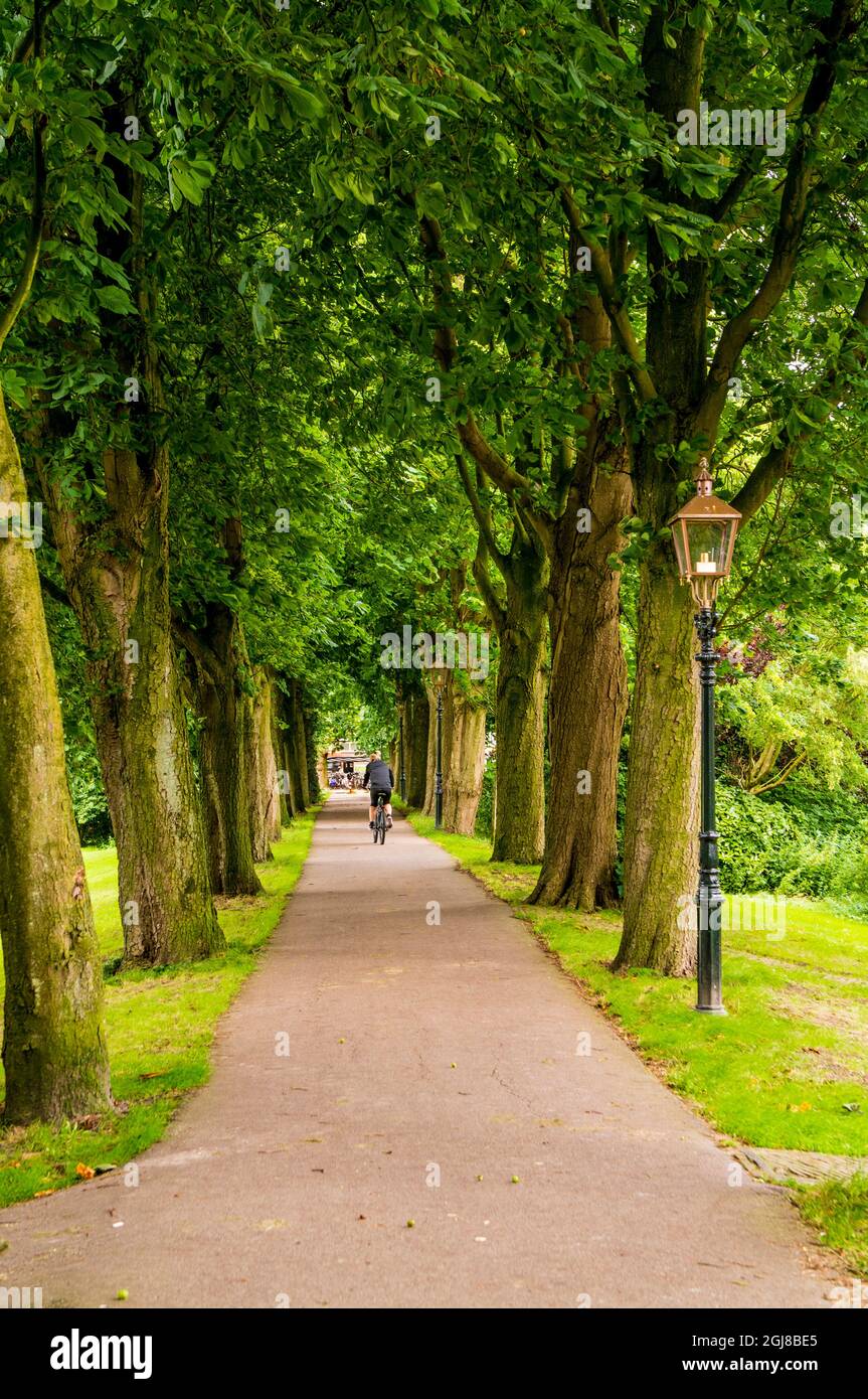 Tree lined bicycle walking path, Edam, Holland, Netherlands. (Editorial ...