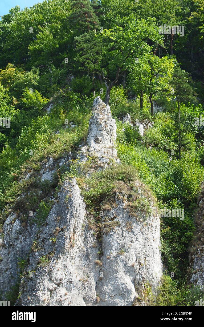 Limestone Rock Formations, Southern Poland, Europe Stock Photo - Alamy