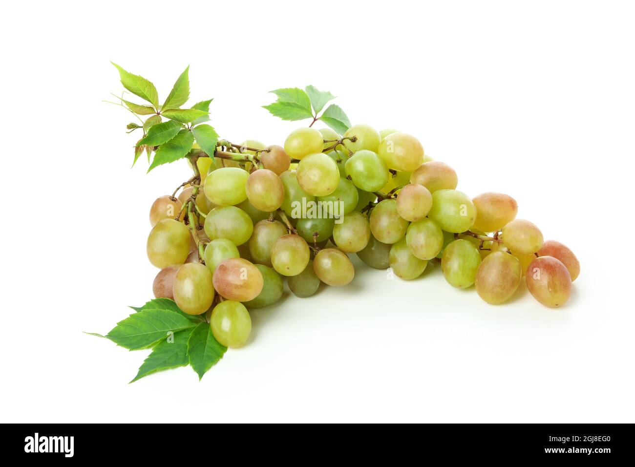 Green ripe grape isolated on white background Stock Photo - Alamy